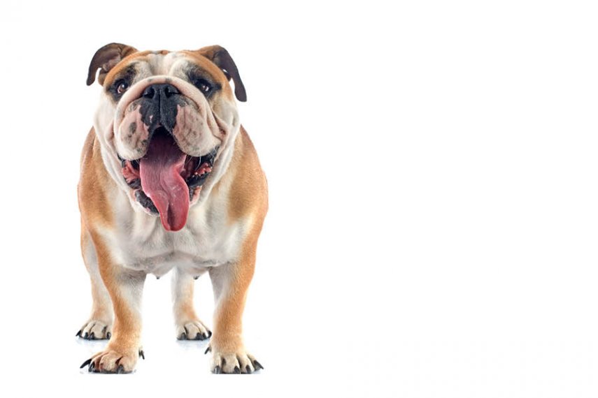 MSU Federal Credit Union